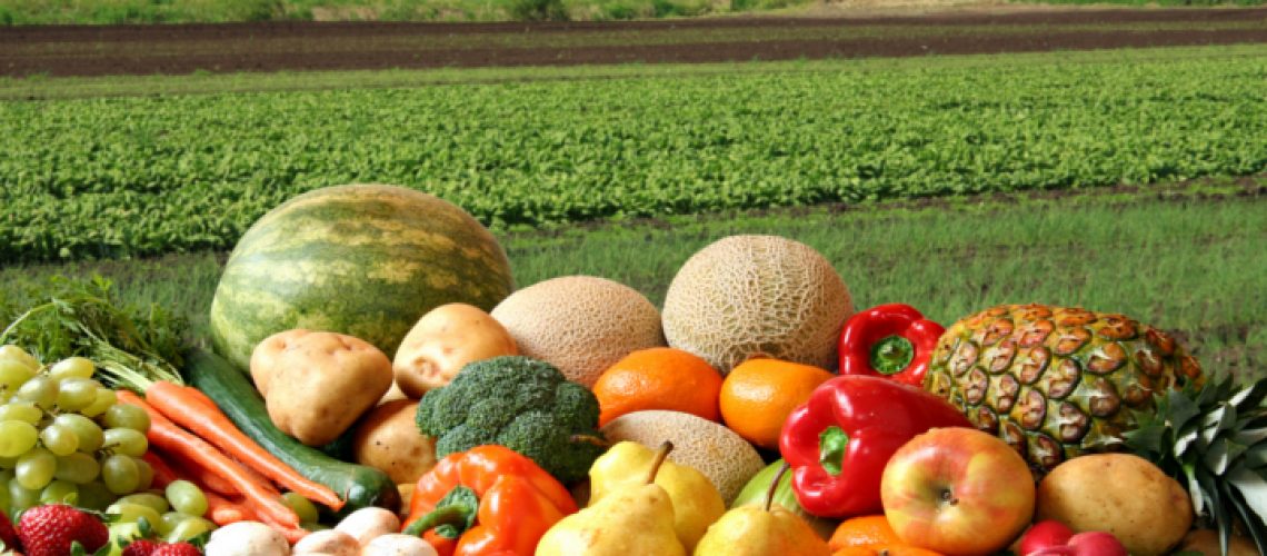 Alimentos ecológicos - Revista Vida Natural